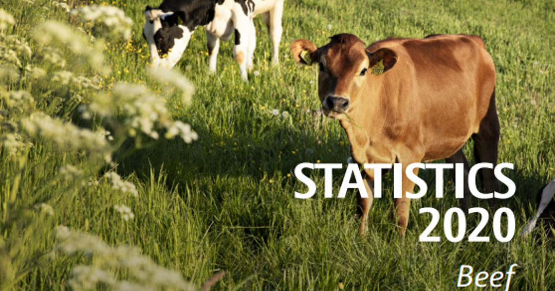 Beef Statistics 2020