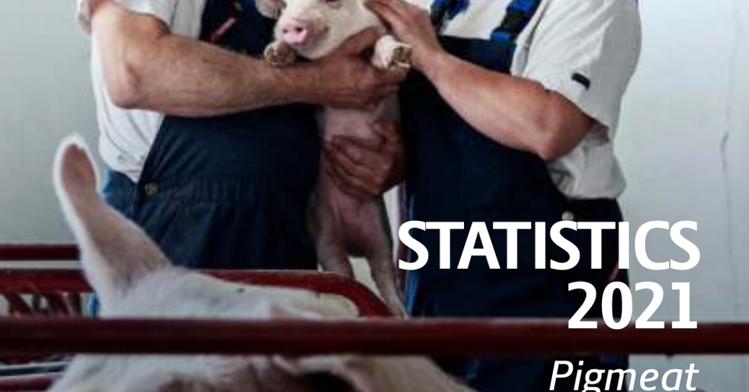 Pigmeat Statistics 2023